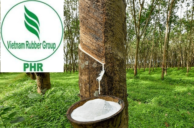 PHR: CTCK SSI nâng định giá thêm 40%, lên mức 74,000. Thu nhập đền bù ...