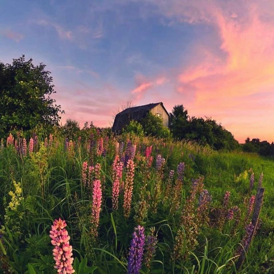 TTCK giảm điểm trước cuộc họp của FED. 3 cổ phiếu tài chính cần quan sát - Elibook.vn - Tri thức ...